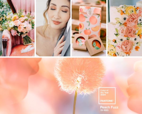 Incorporating Pantone's "Peach Fuzz" Color of the Year into Your Wedding